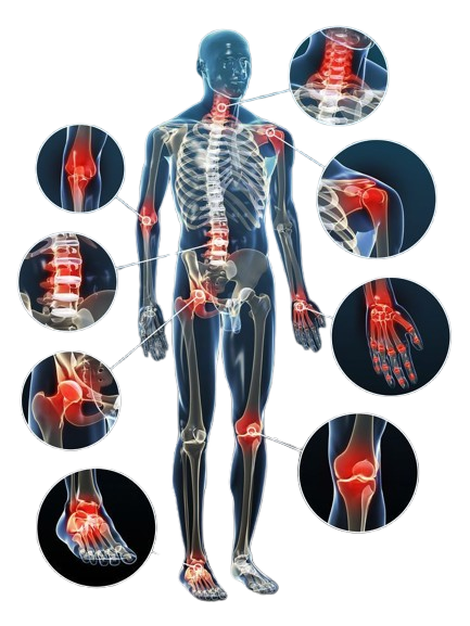 Pulse Wave | Shockwave Therapy Pro